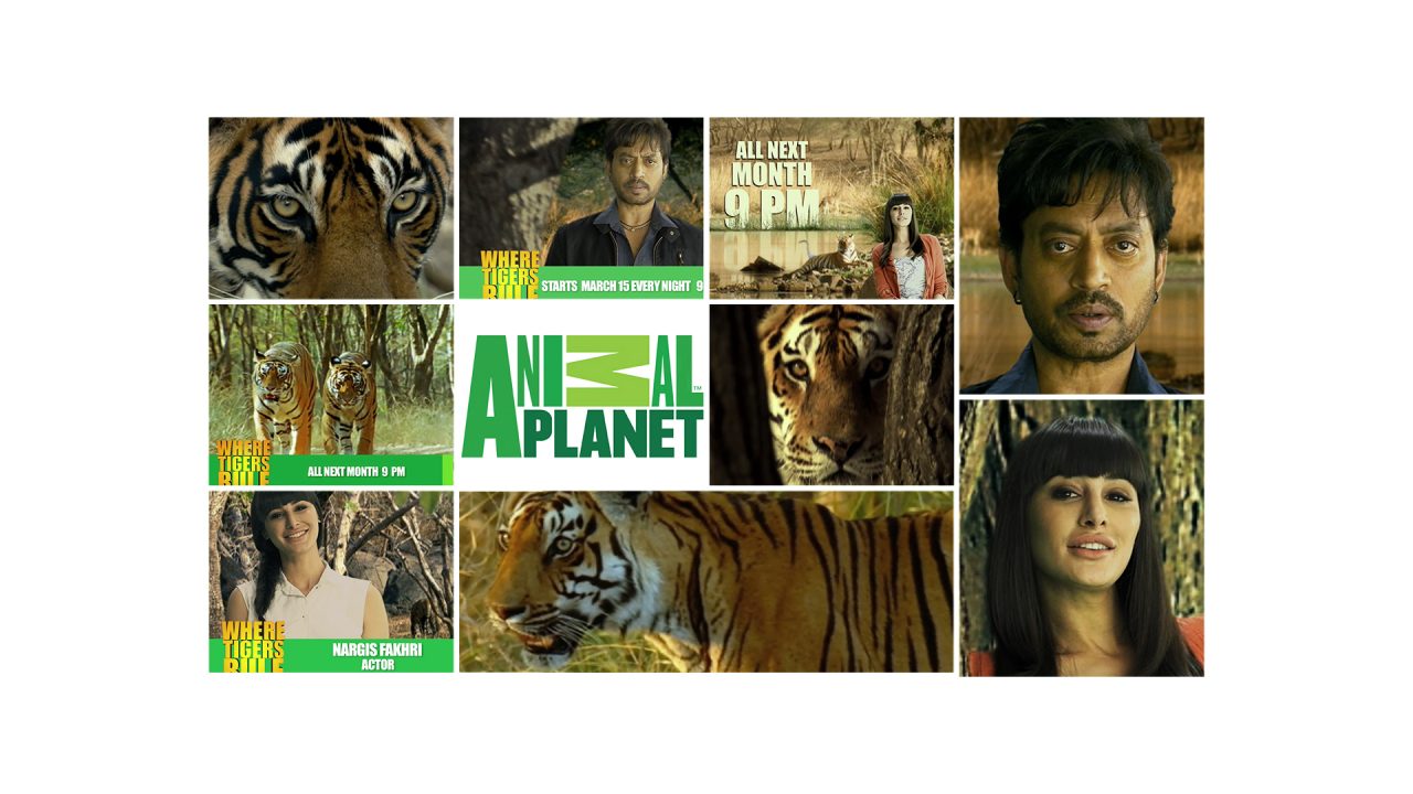 ANIMAL PLANET | PROMOS | BRAODCAST DESIGN